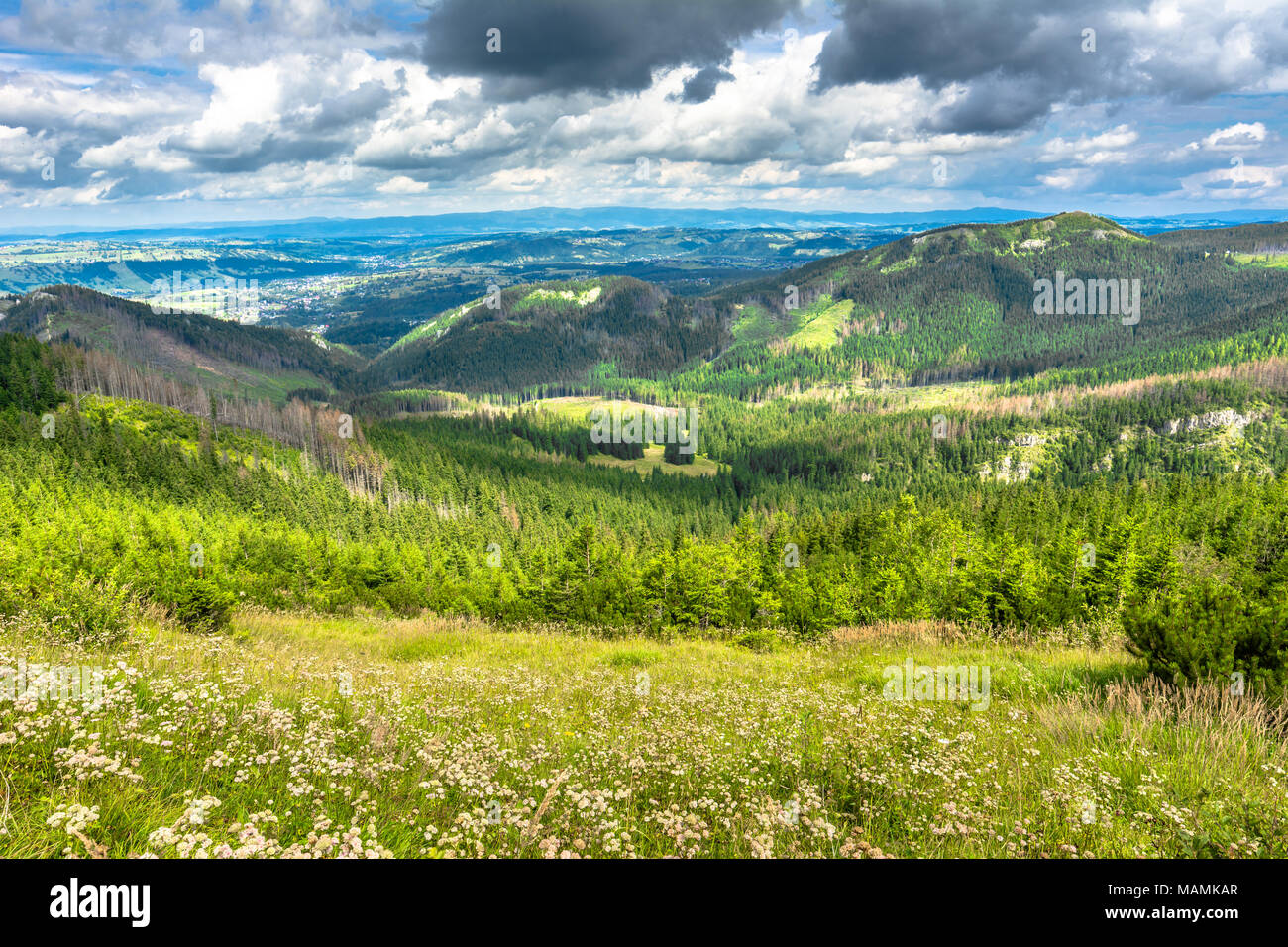 Landscape of mountain valley, panorama of city Zakopane from the hiking ...
