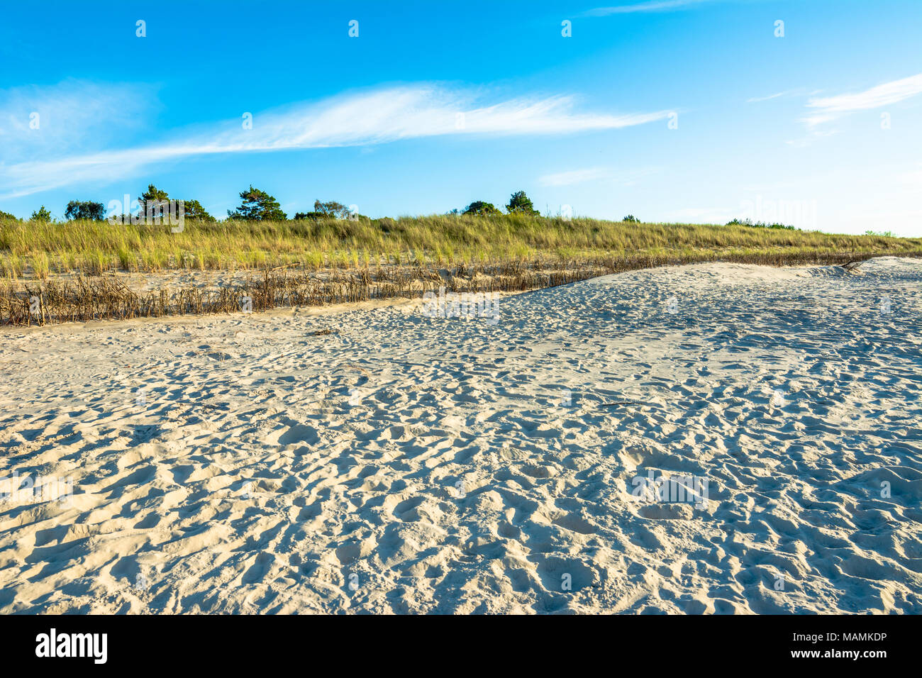 Sandy beach under blue sky, summer background Stock Photo - Alamy
