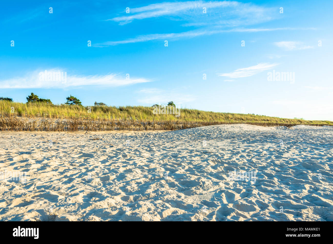 Sandy beach under blue sky, summer background Stock Photo - Alamy