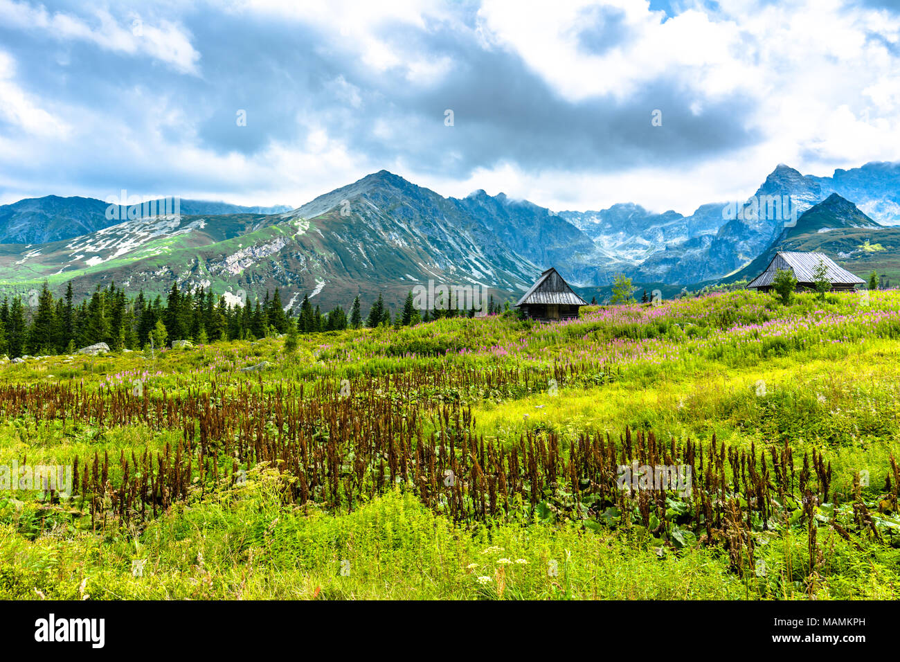 Houses in mountains on grass field, green spring landscape of mountain ...