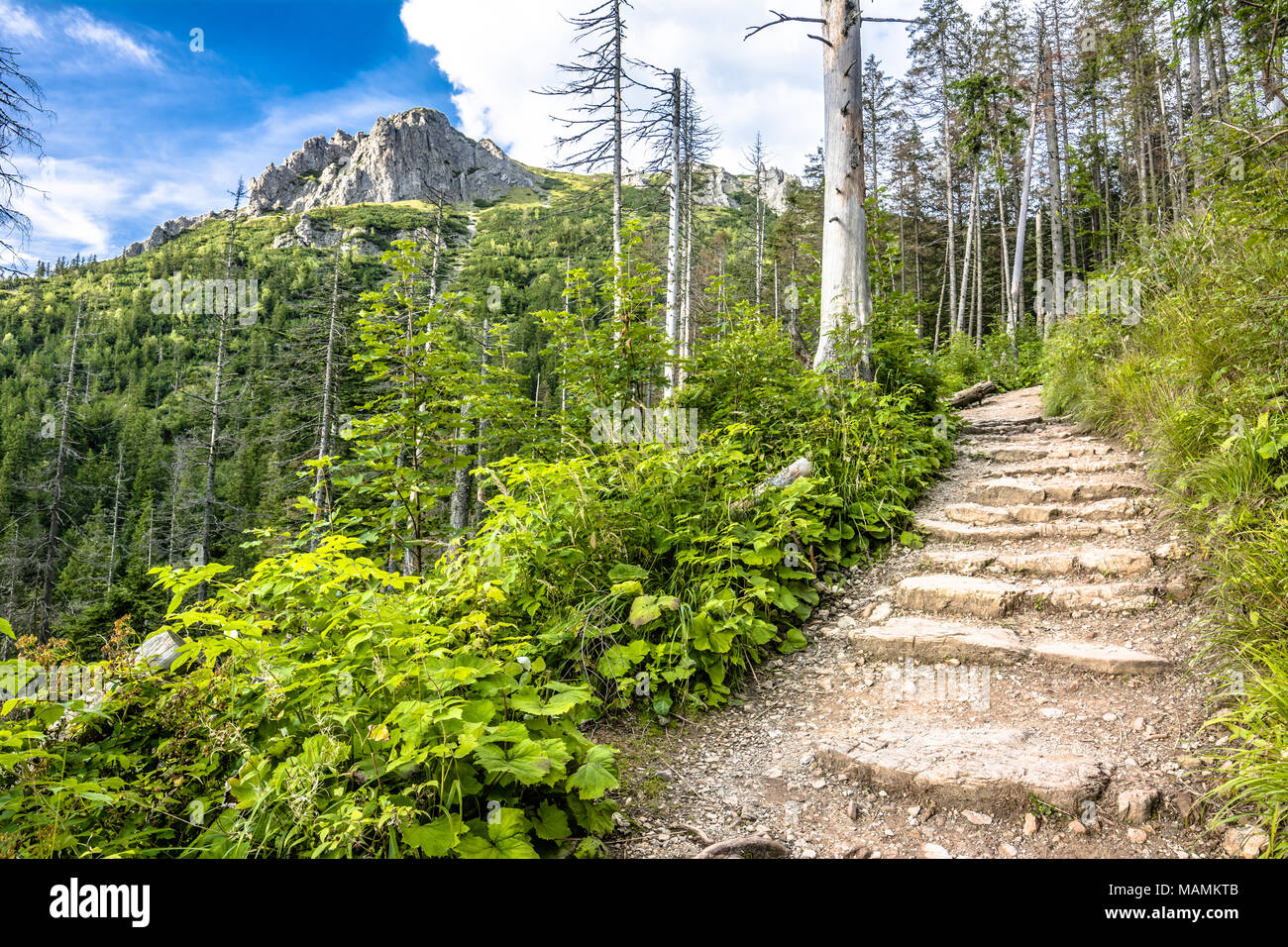 Hiking trail in mountains, landscape, path with rocks leading to the ...