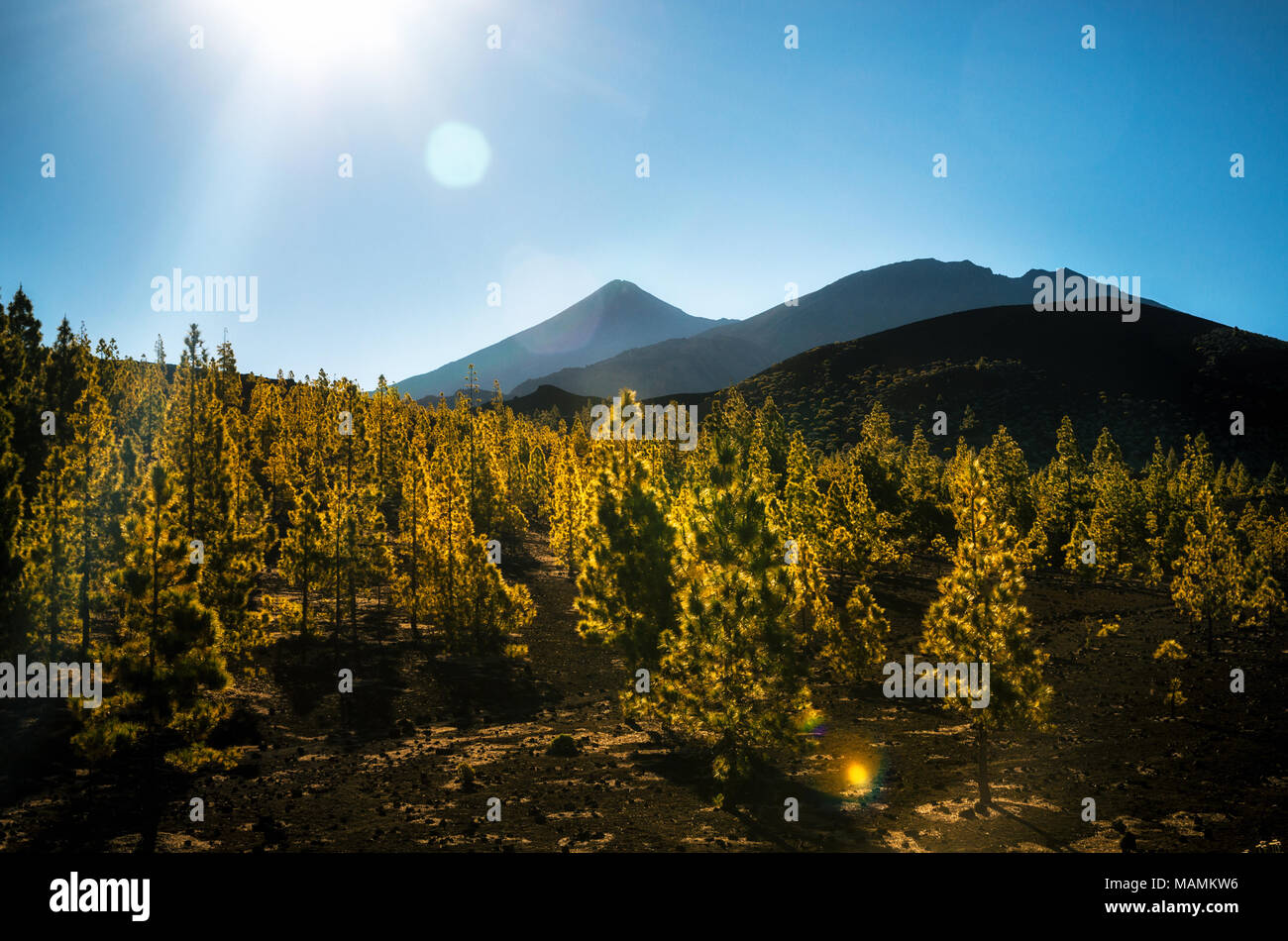 Natural travel trees vacation volcanic woodland hi-res stock ...
