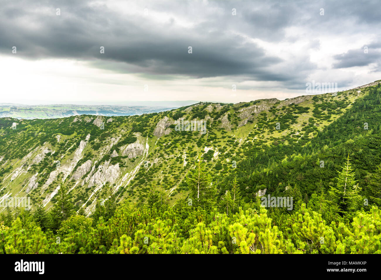 Lush green spring mountains hi-res stock photography and images - Alamy