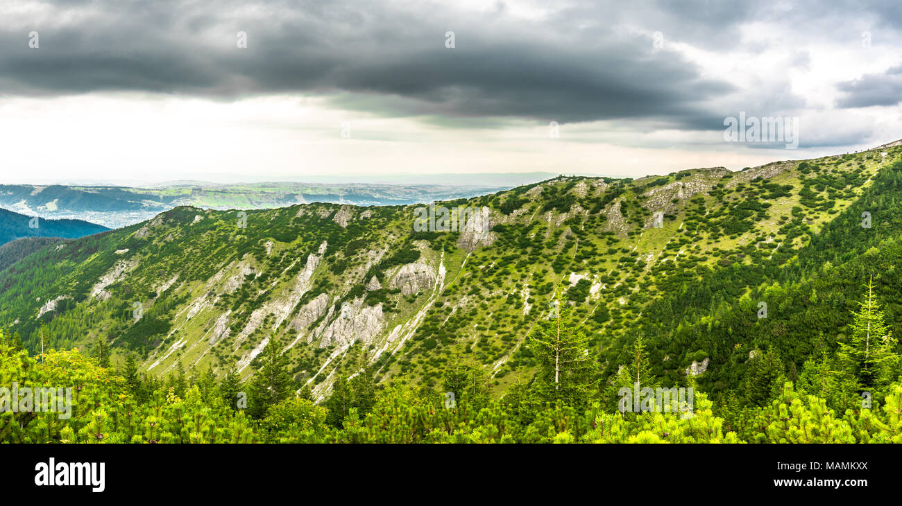Spring green landscape of mountain ridge with forest, mountains ...