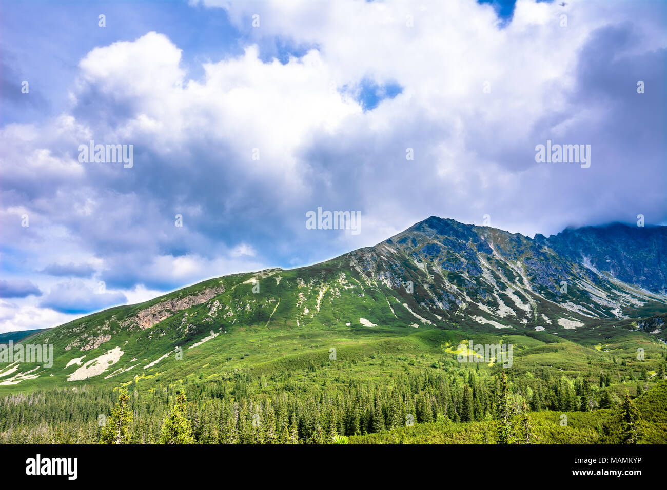 Mountain forest landscape, spring green mountains panorama Stock Photo ...