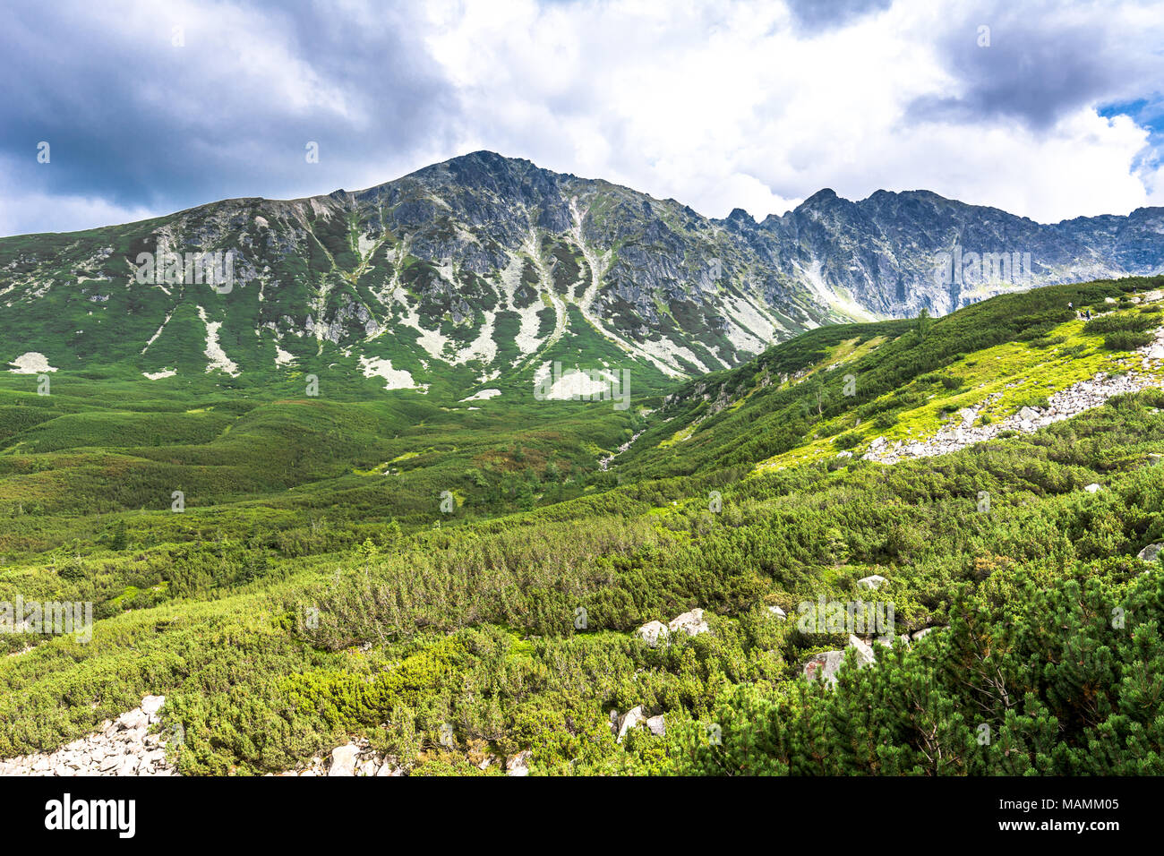 Vista land hi-res stock photography and images - Alamy