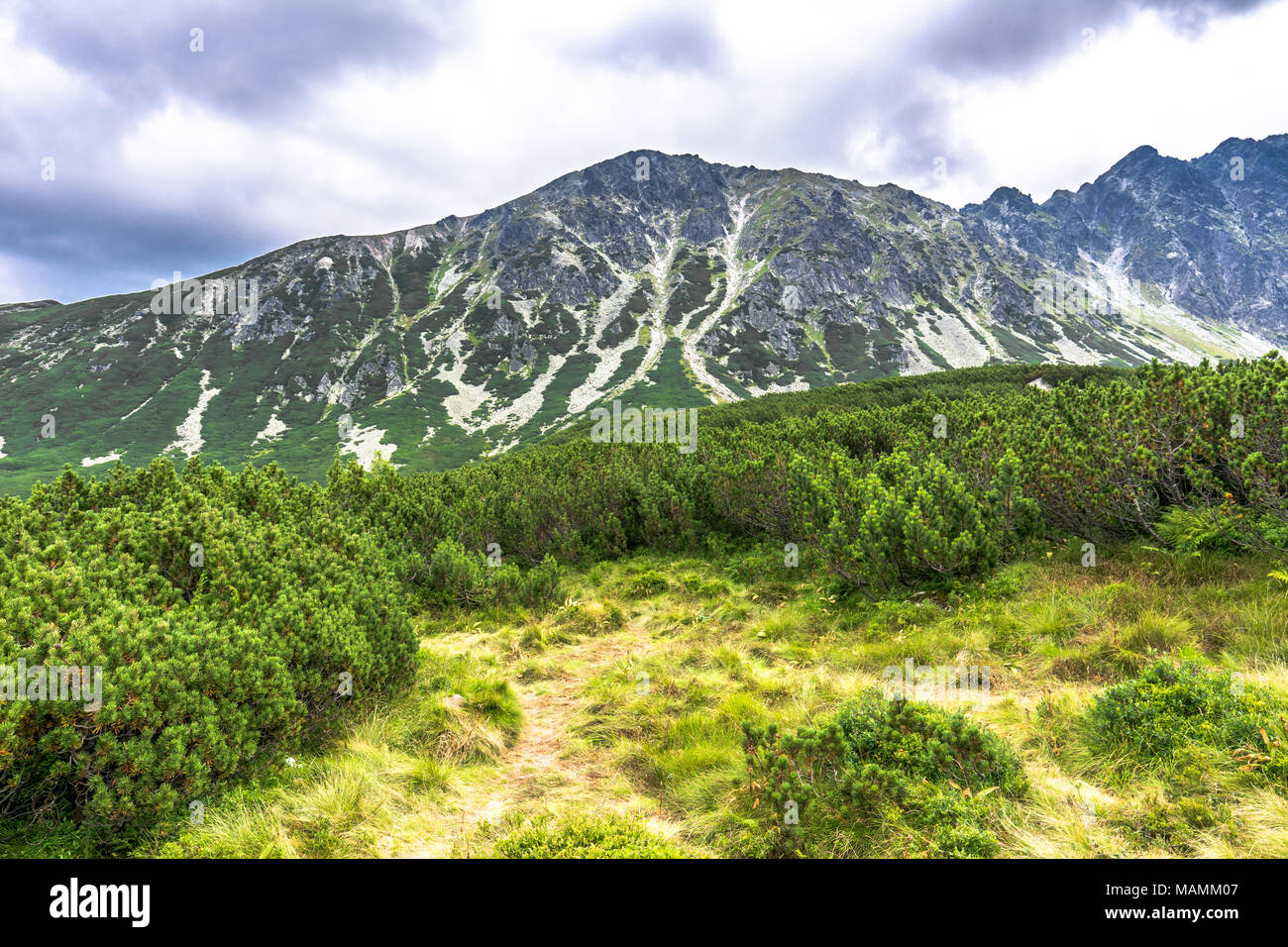 Panoramic landscape green mountain hi-res stock photography and images ...