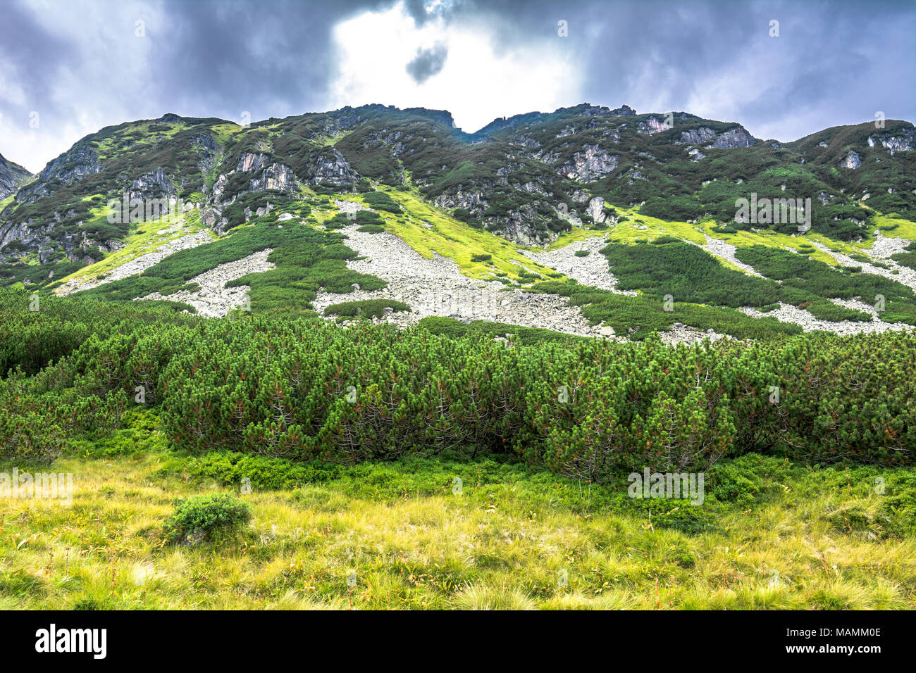 Foothills the high tatra mountains hi-res stock photography and images ...