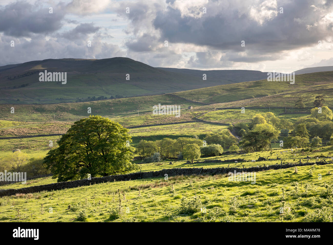 Hawes yorkshire hi-res stock photography and images - Alamy