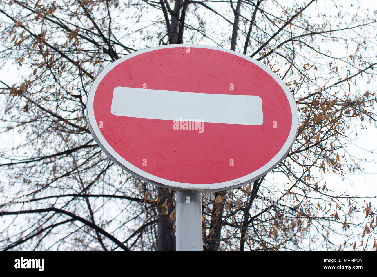 No entry sign, stop sign in the forest Stock Photo - Alamy