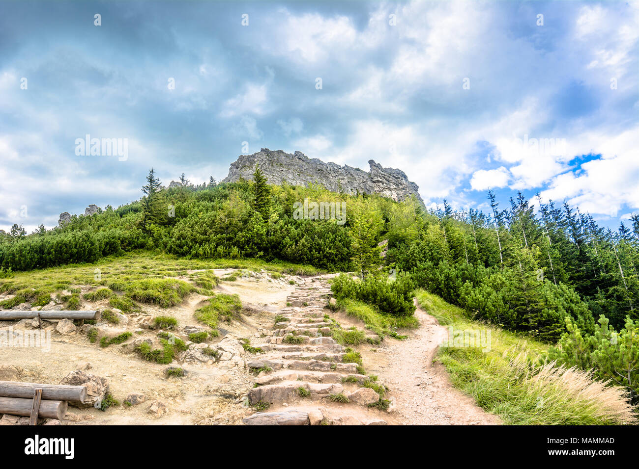 Hiking trail in mountains, landscape Stock Photo - Alamy