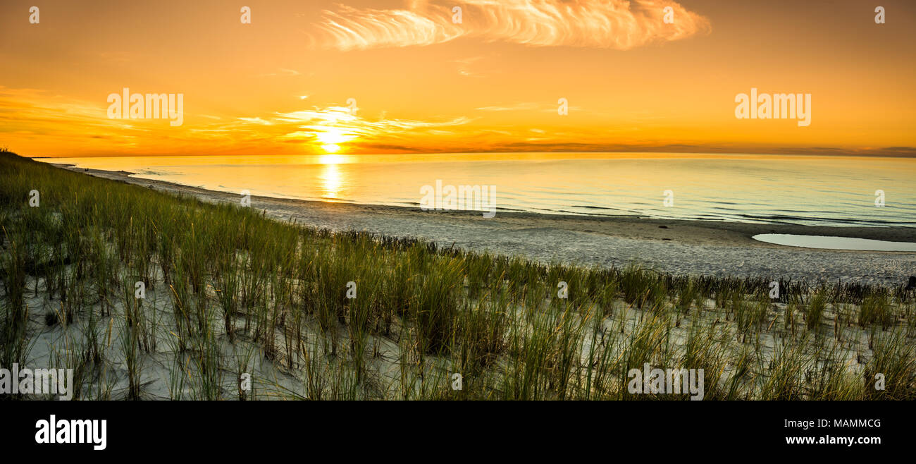 Sunset beach, panorama. Golden sun shining on sand dune with grass ...