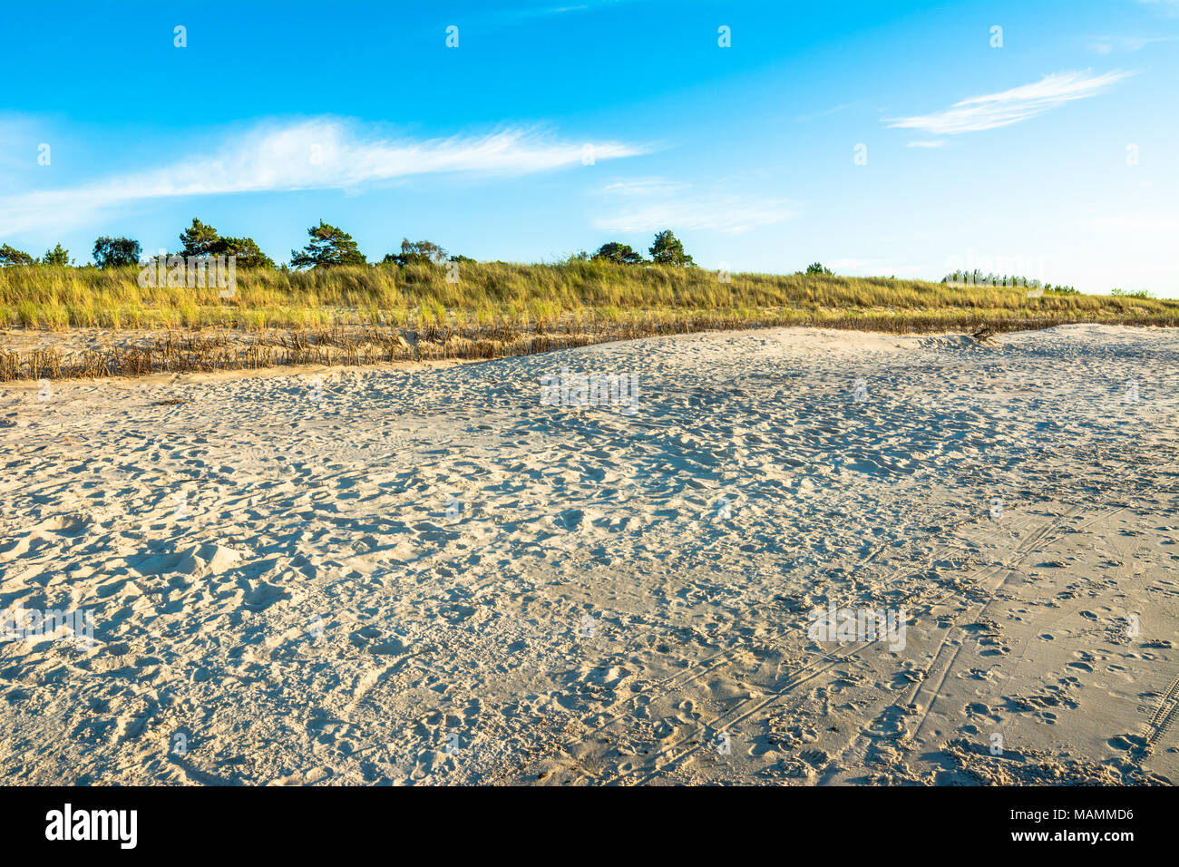 Sandy beach under blue sky, summer background Stock Photo - Alamy
