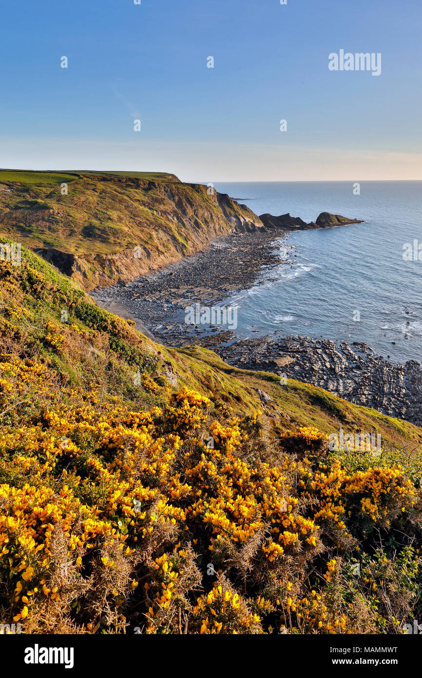 Cornwall devon border hi-res stock photography and images - Alamy