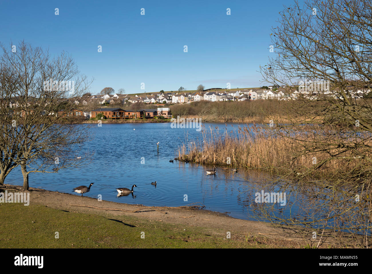 Pool cornwall hi-res stock photography and images - Alamy