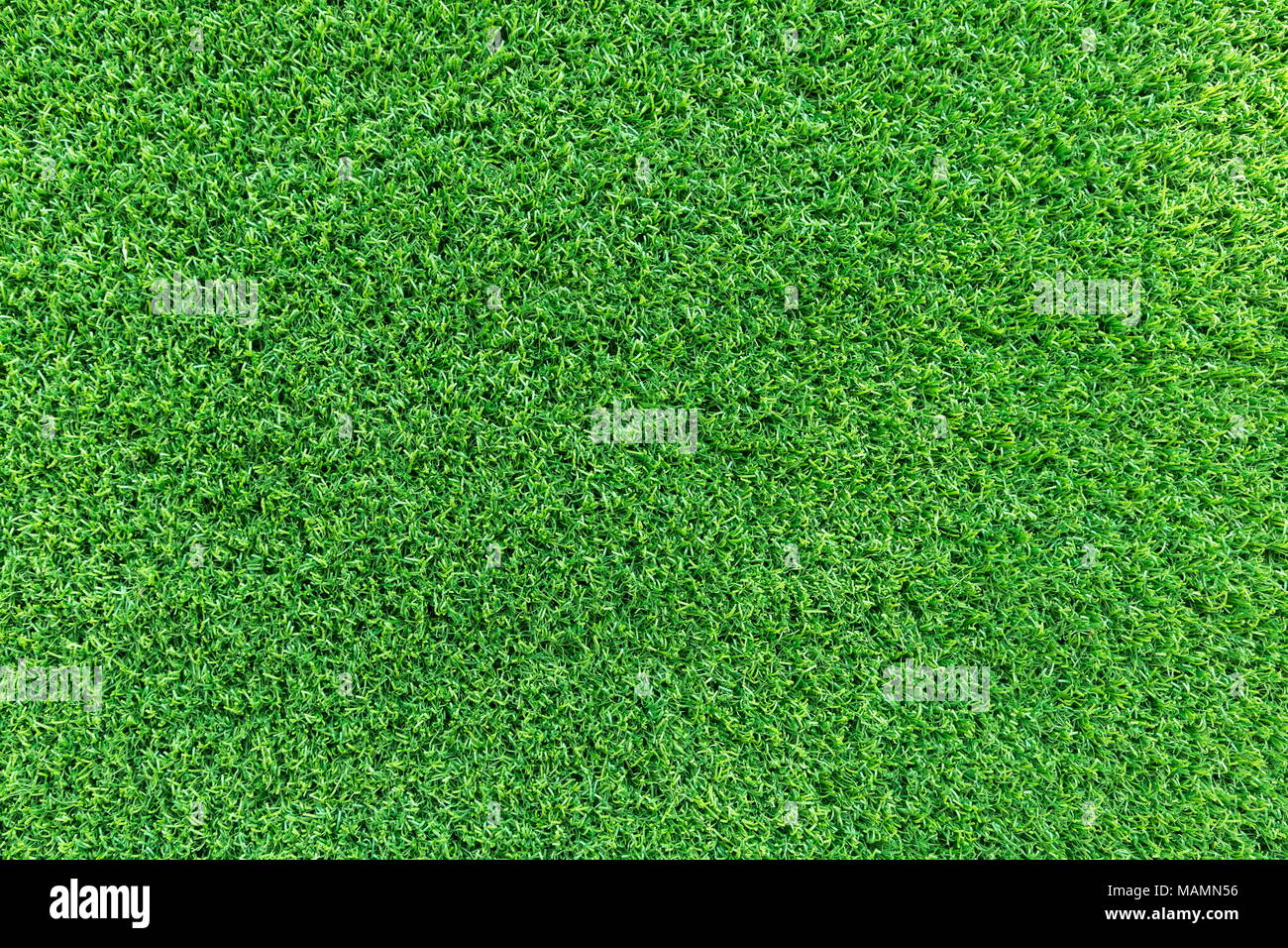 Grass field texture for golf course, soccer field or sports background ...