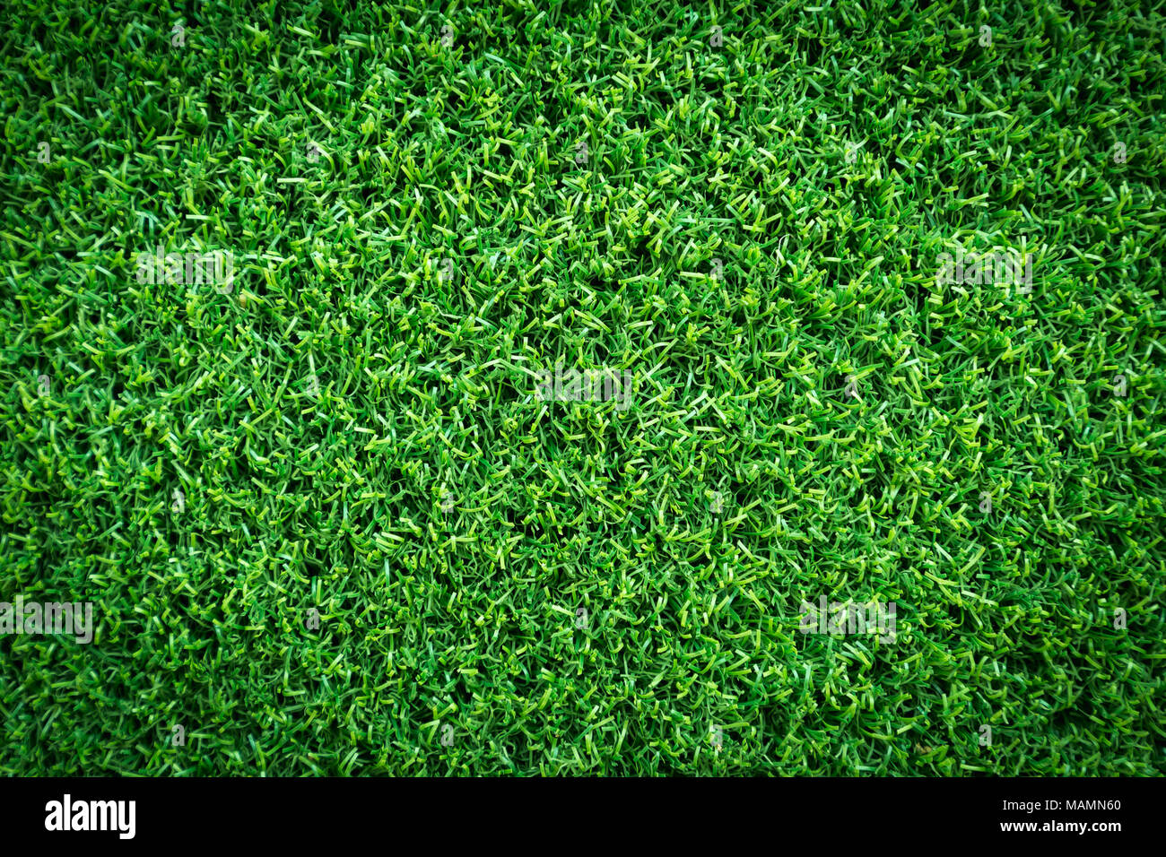 Grass field texture for golf course, soccer field or sports background ...