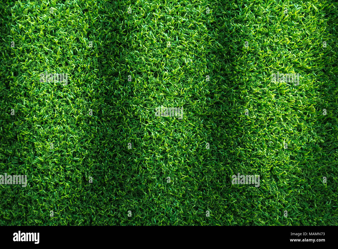 Grass field texture for golf course, soccer field or sports background ...