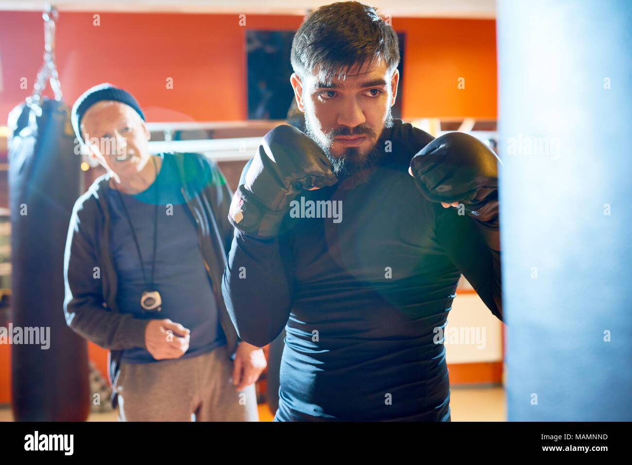Boxer in Training Stock Photo - Alamy