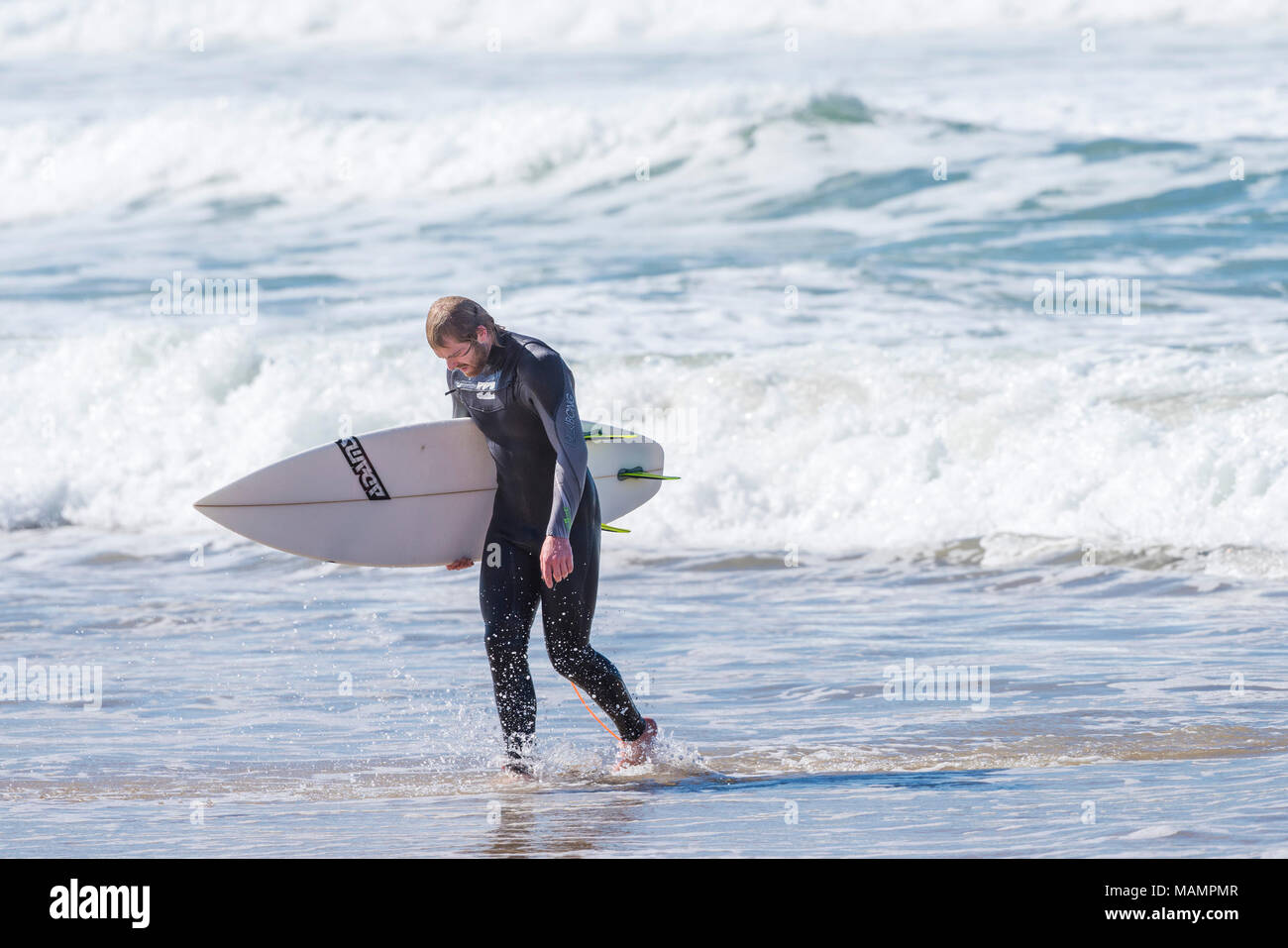 An exhausted surfer carrying his surfboard as he walks out of the sea ...