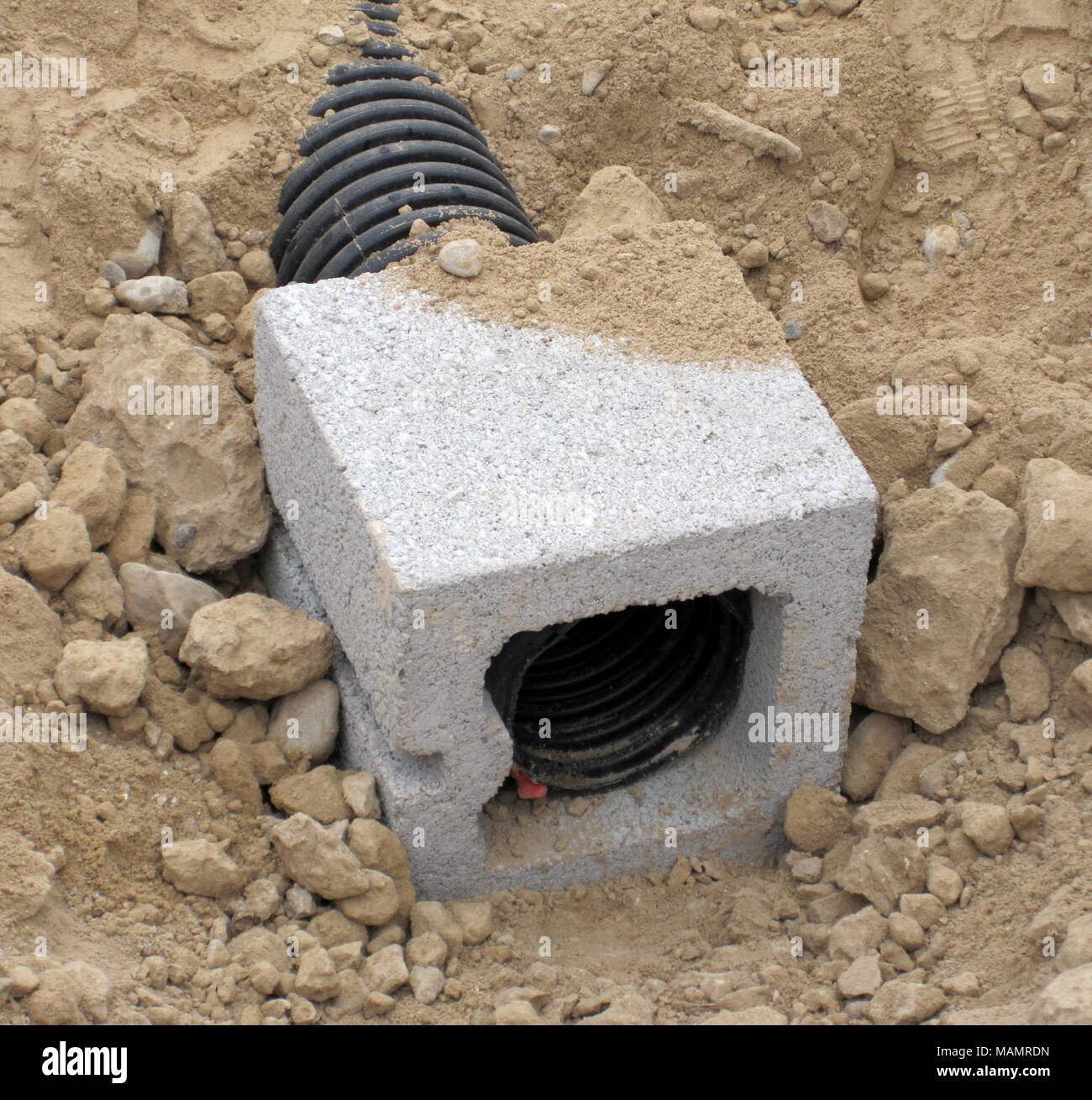 Gilcrease orchard hi-res stock photography and images - Alamy