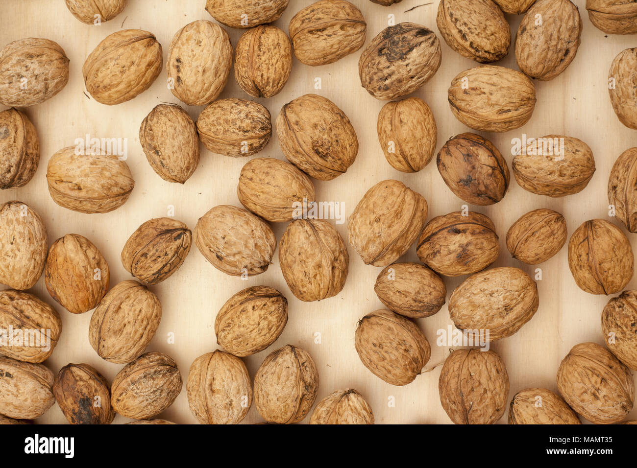Walnuts isolated on white background Stock Photo - Alamy