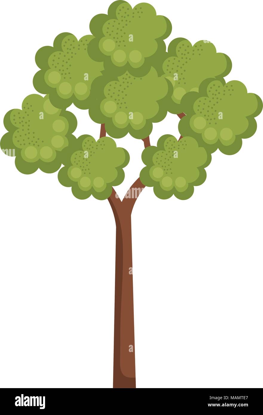 tree plant natural icon Stock Vector Image & Art - Alamy