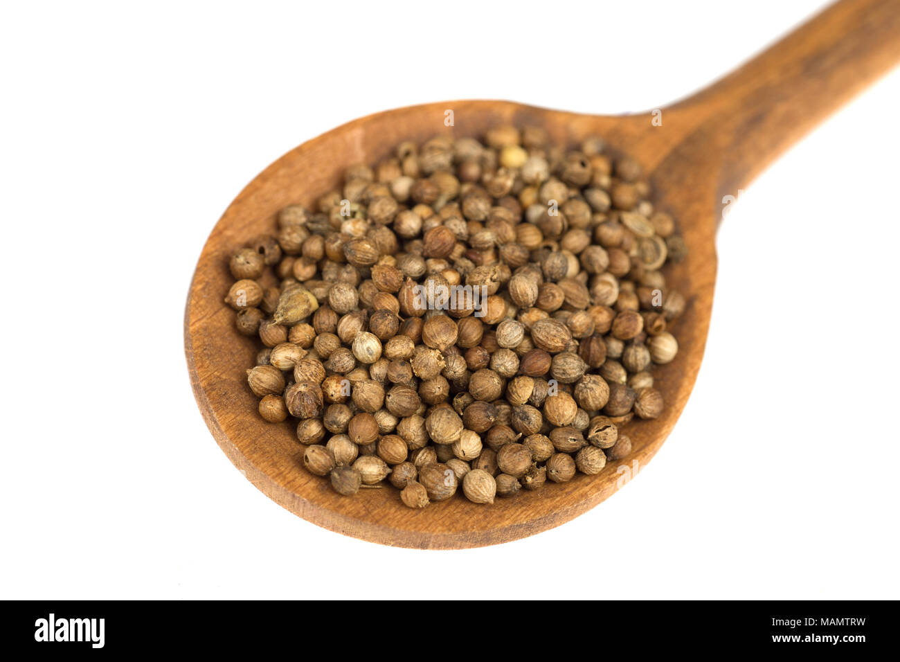 Coriander seeds on wooden spoon isolated on white background Stock ...