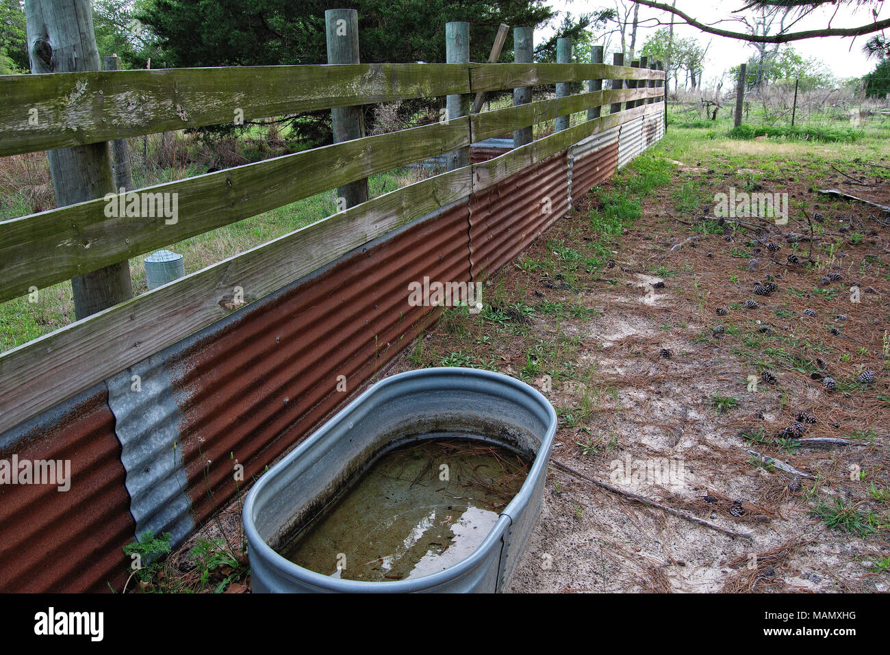 Water trough in an animal pen Stock Photo - Alamy