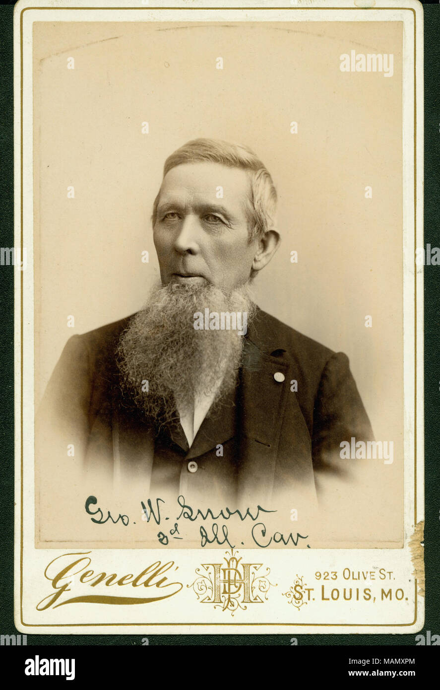 Formal bust portrait of George W. Snow wearing a suit, with his head ...