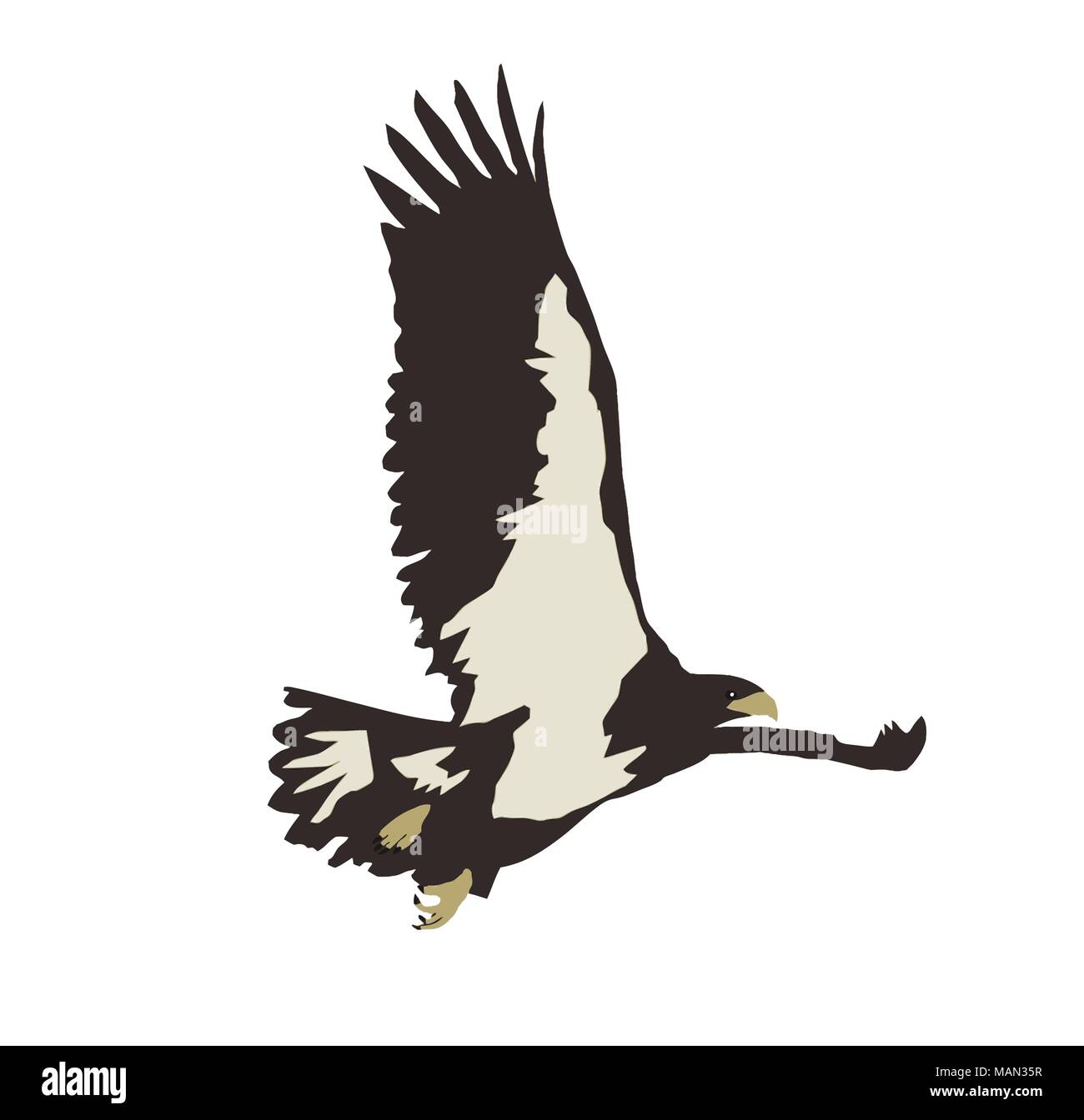 Simple hawk flying illustration isolated on white Stock Vector Image ...