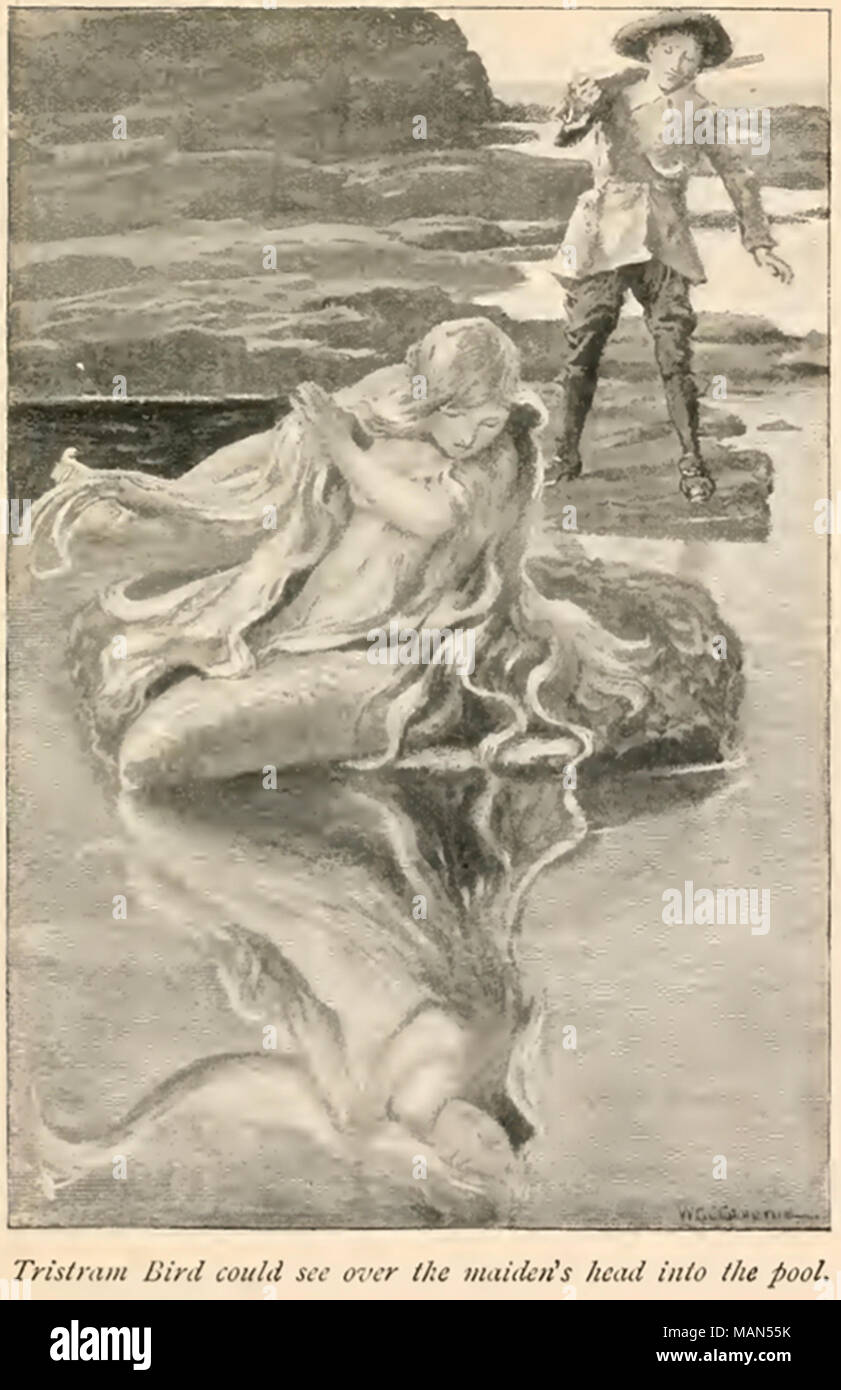 Illustration of Tristam Bird and the Mermaid of Padstow, before he shot ...