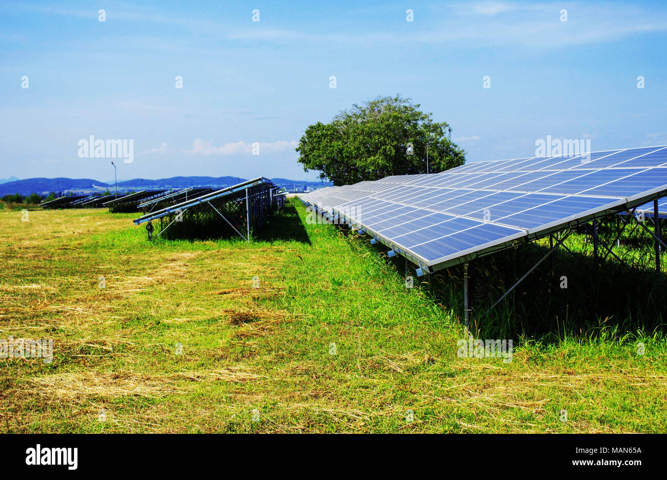 Solar panels on the lawn in the power station Stock Photo - Alamy