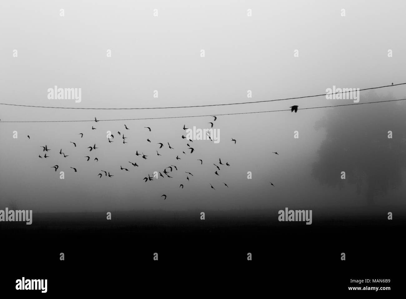 Power fly hi-res stock photography and images - Alamy