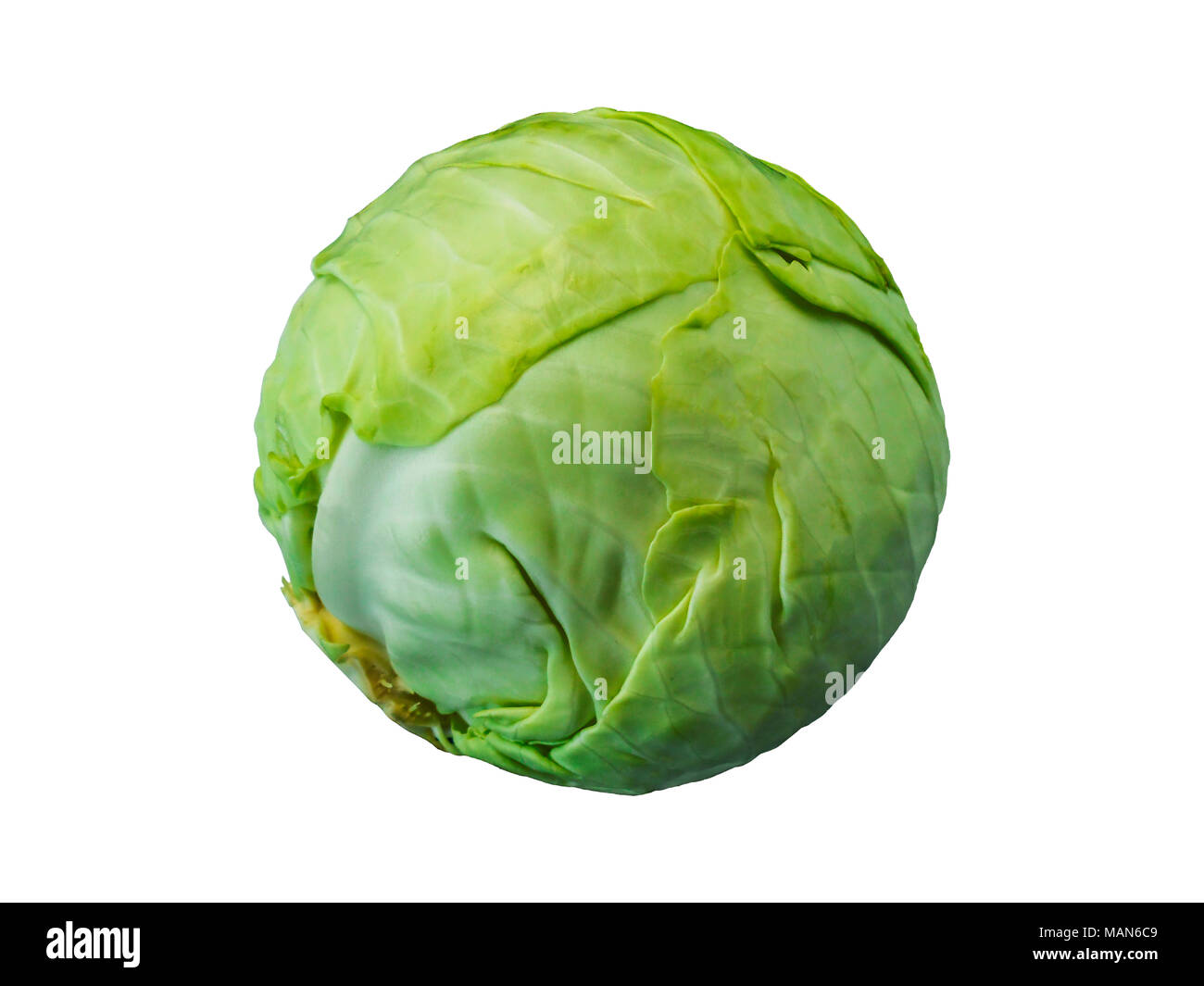 Green cut cabbage isolated on white background Stock Photo - Alamy