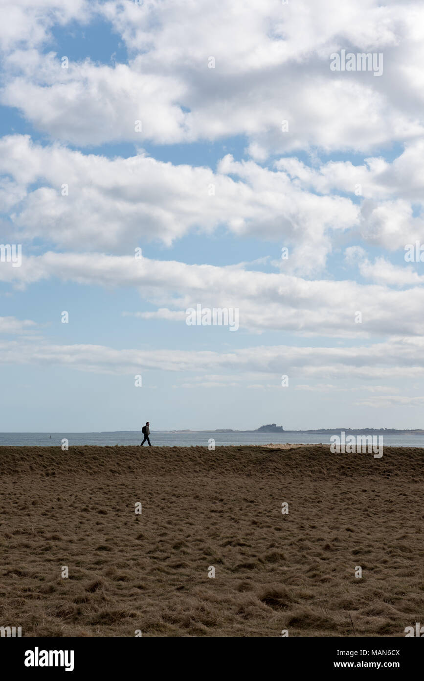 Solitary person walking across a dry grassy field beneath a dramatic ...