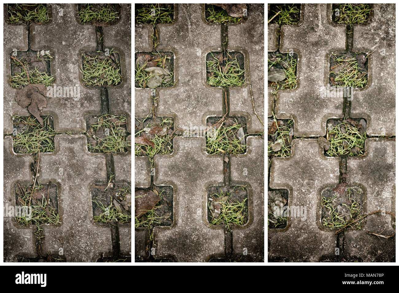 The Stone block walk path in the park with green grass background Stock ...