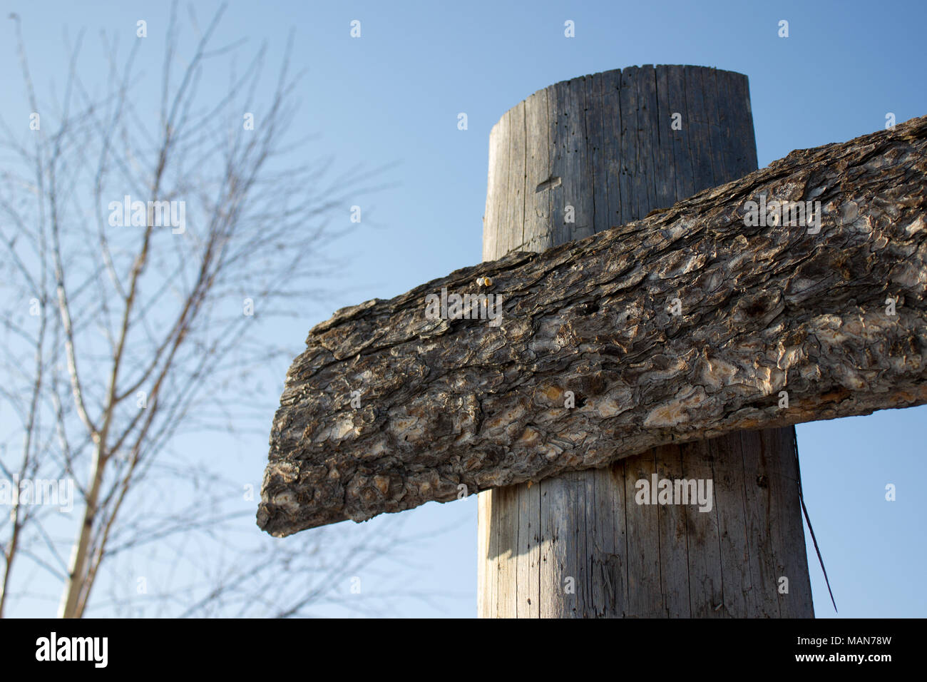 Pinewood panel hi-res stock photography and images - Alamy