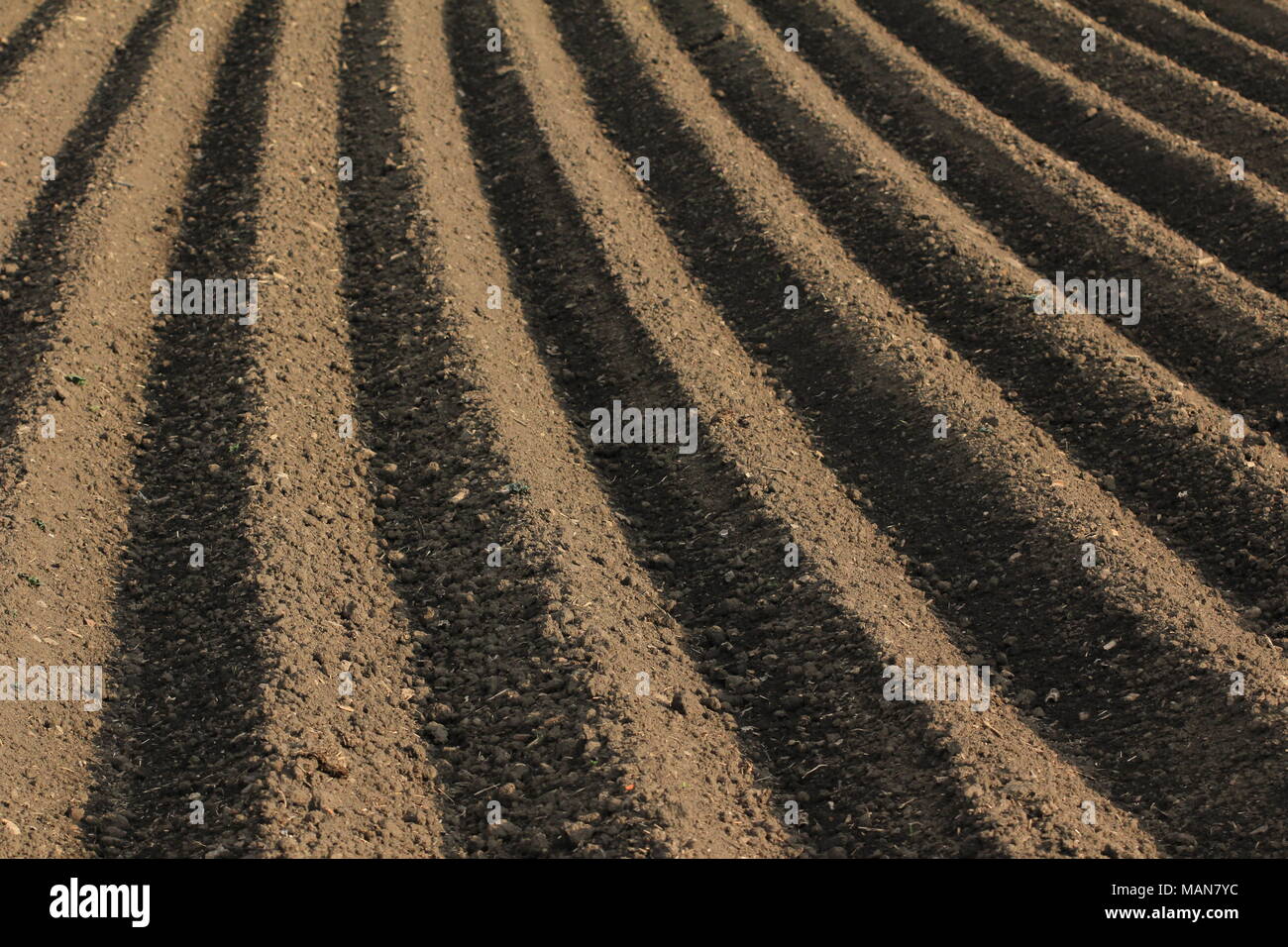 Plow soil texture hi-res stock photography and images - Alamy