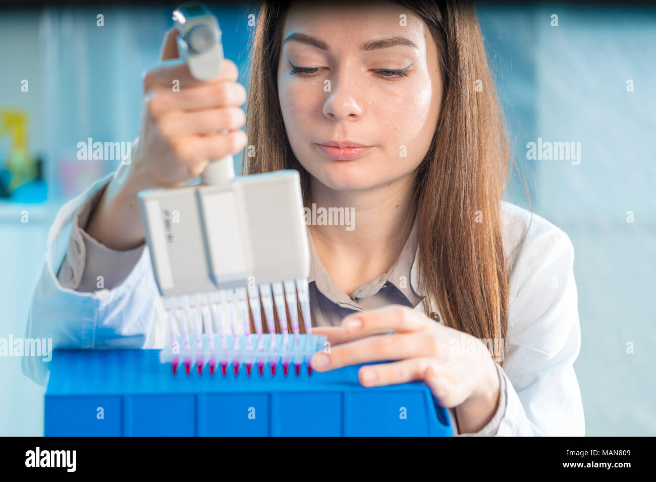 student woman with multi pipette and other PCR items in microbiological ...