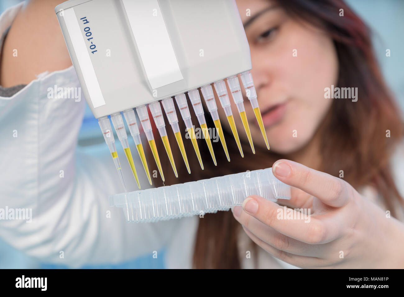 Woman technician with multipipette in genetic laboratory PCR research ...