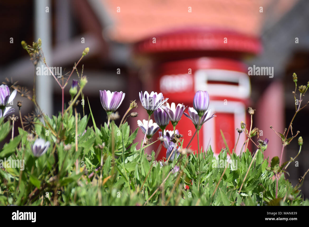 Post office sri lanka hi-res stock photography and images - Alamy