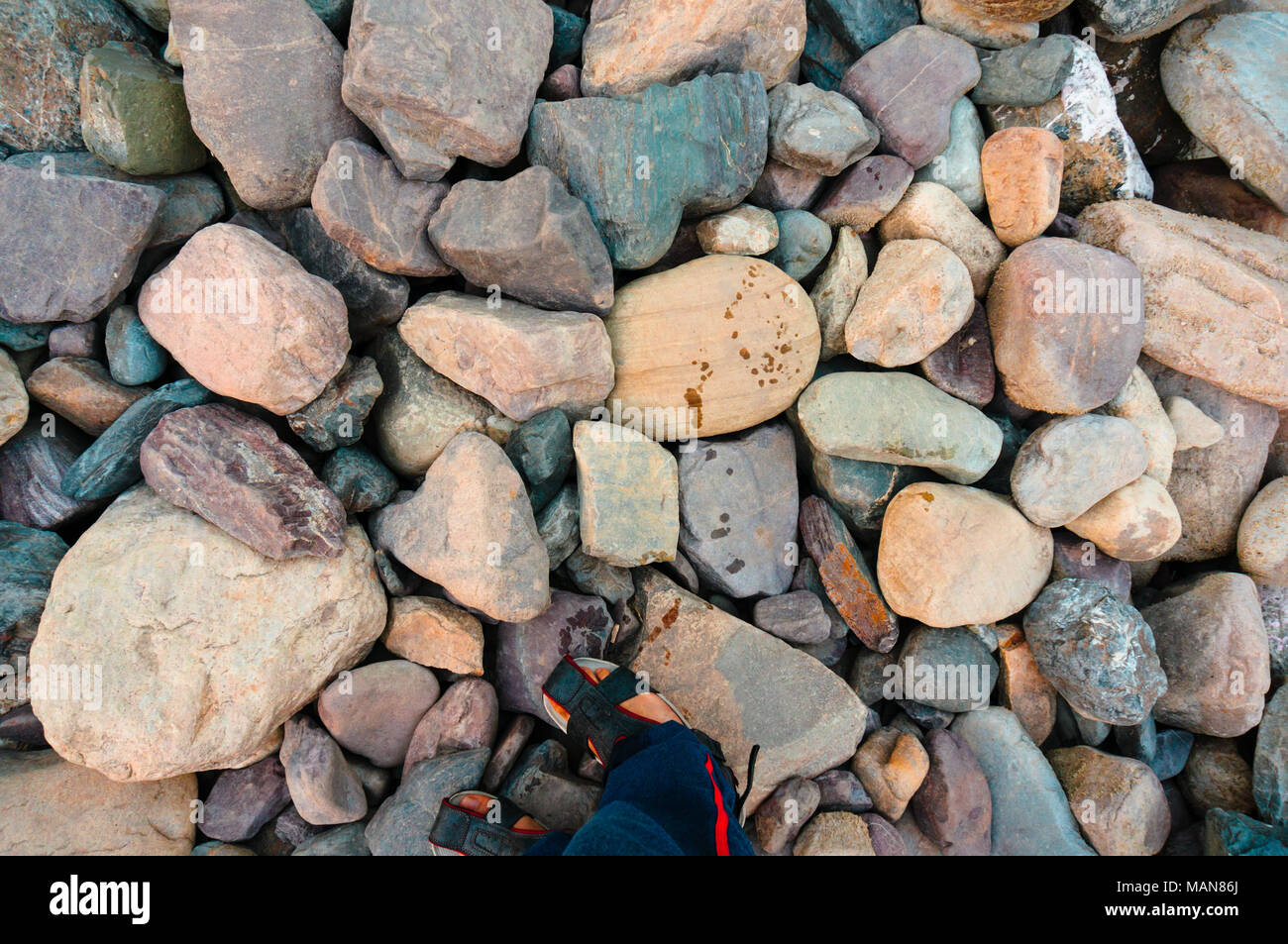 Feet in fashionable grey red sandles on round sedimentary rocks on a ...