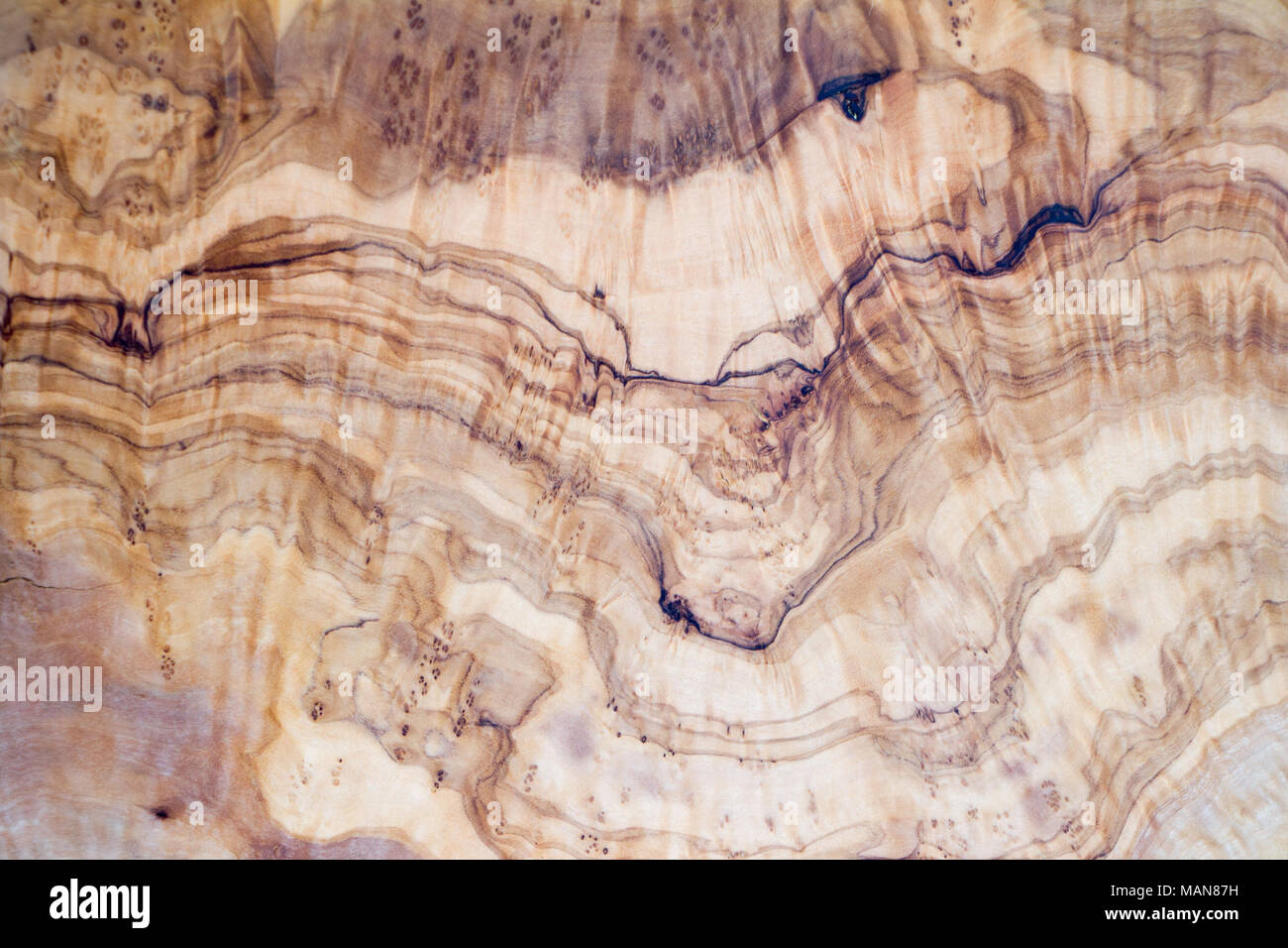 Olive tree wood slice with texture and details Stock Photo - Alamy