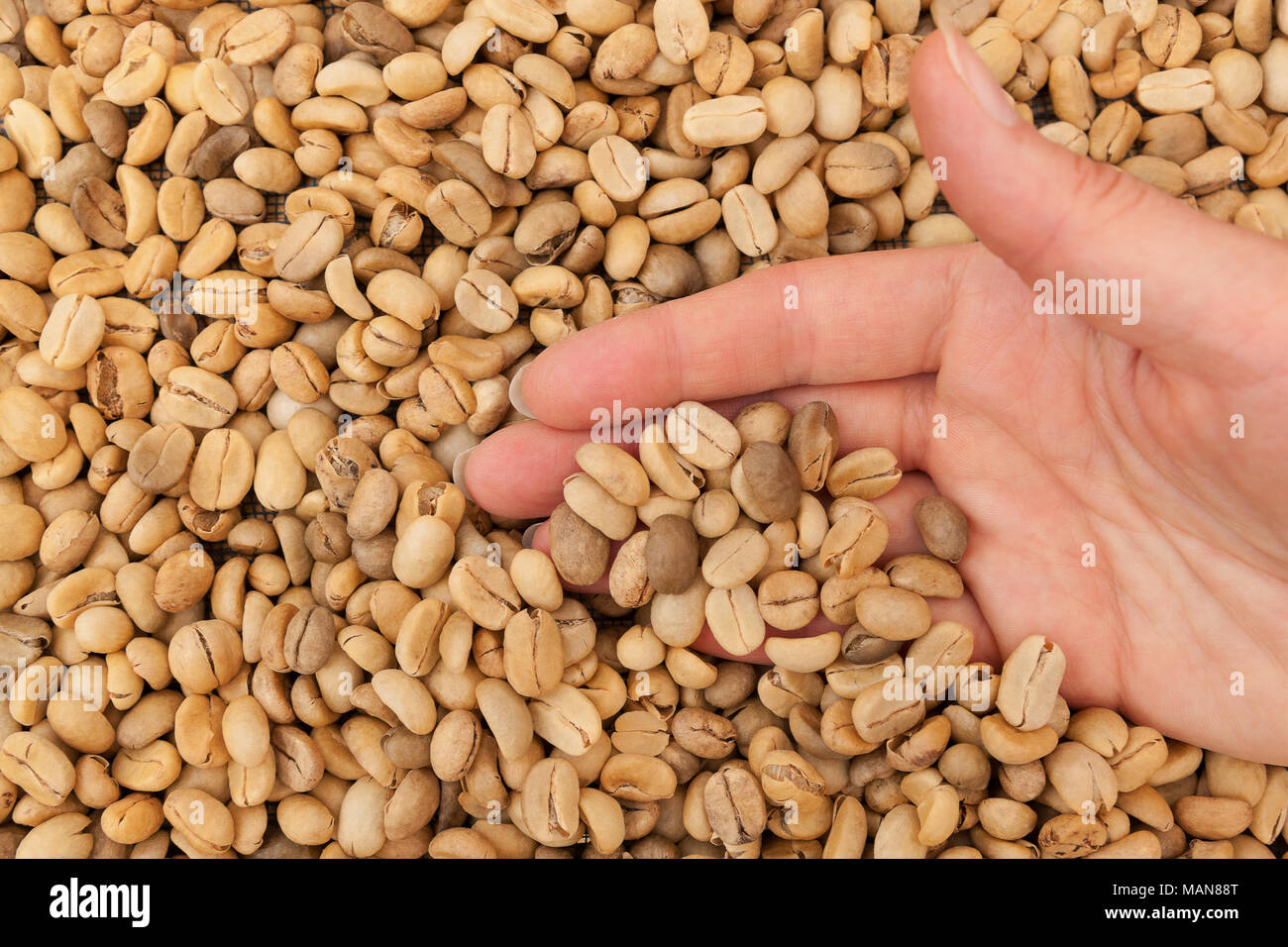 Hand from above hi-res stock photography and images - Alamy