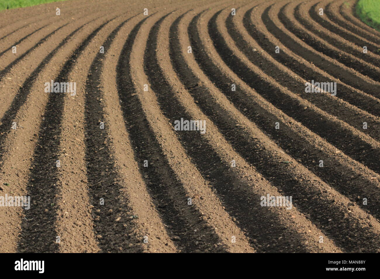 agriculture: freshly ploughed field Stock Photo - Alamy