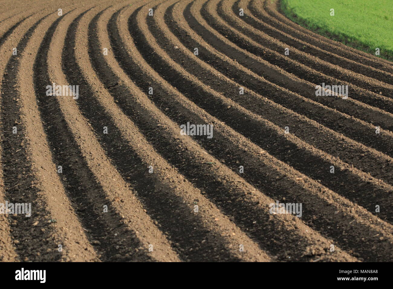Freshly tilled dirt hi-res stock photography and images - Alamy
