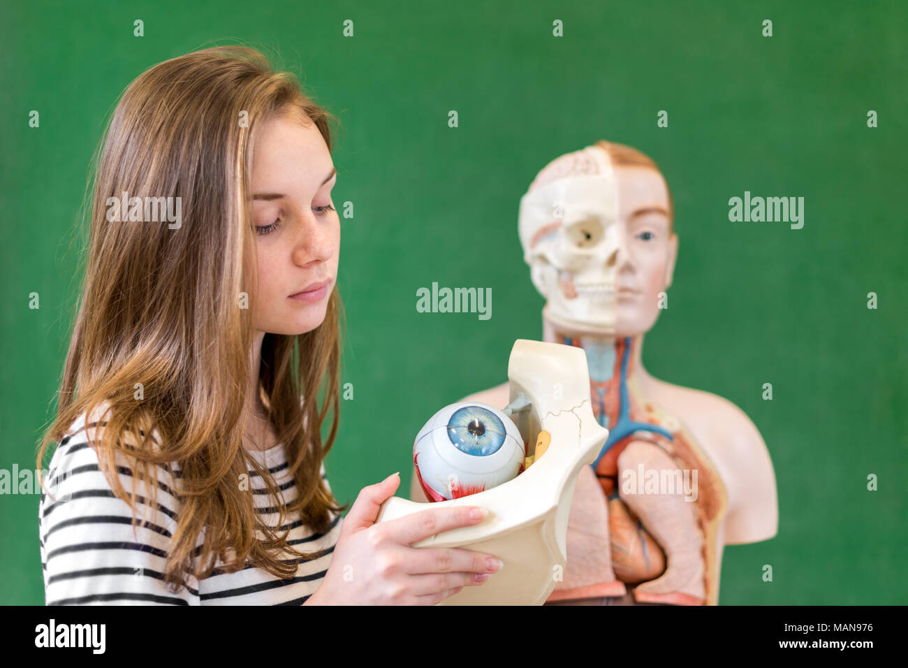 Young female high school student holding human eye model. Student ...