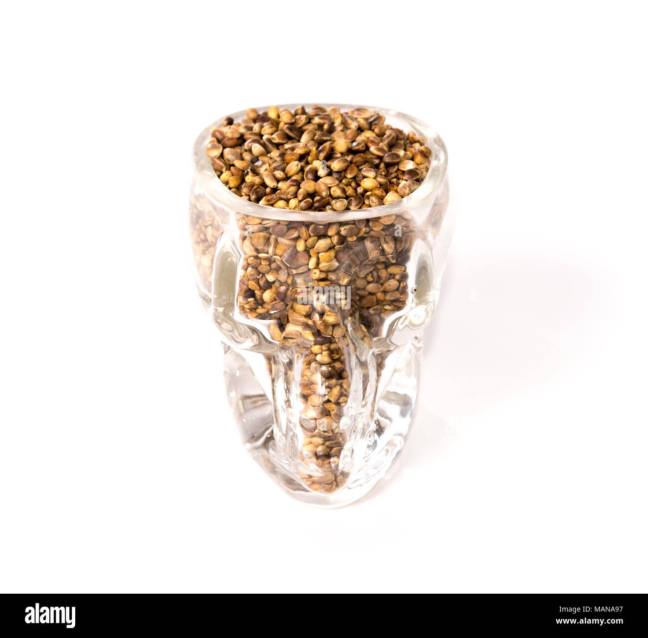 Medicinal and Recreational Marijuana Stock Photo - Alamy