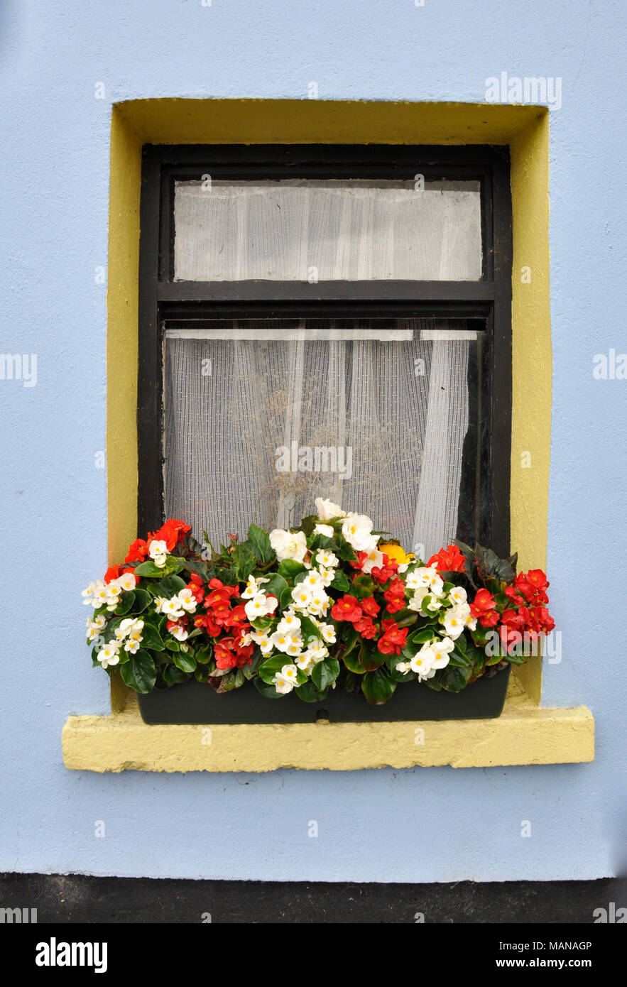 Irish cottage garden hi-res stock photography and images - Alamy